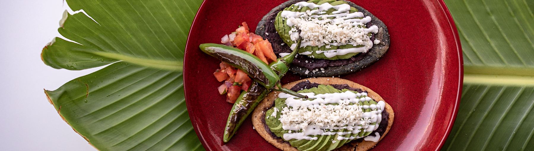 Miami Rooftop Restaurant | Serena Rooftop Restaurant and Bar